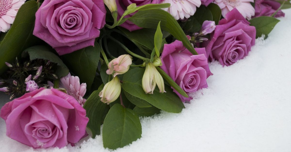 What is a Pre-Need Funeral, Burial or Cremation Plan? | Bivens & Associates